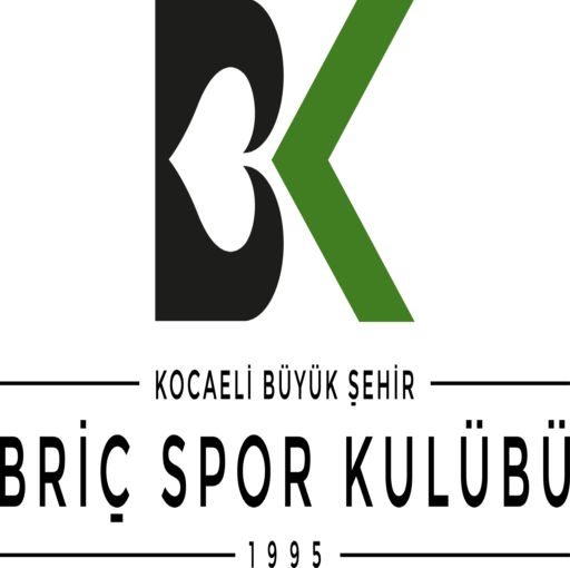 Logotipo De Kocaeli Birlik